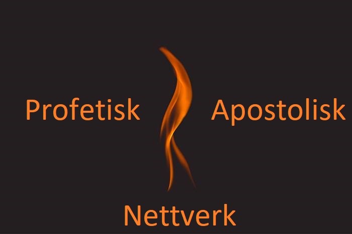 Om Oss :: pa-nettverk.no